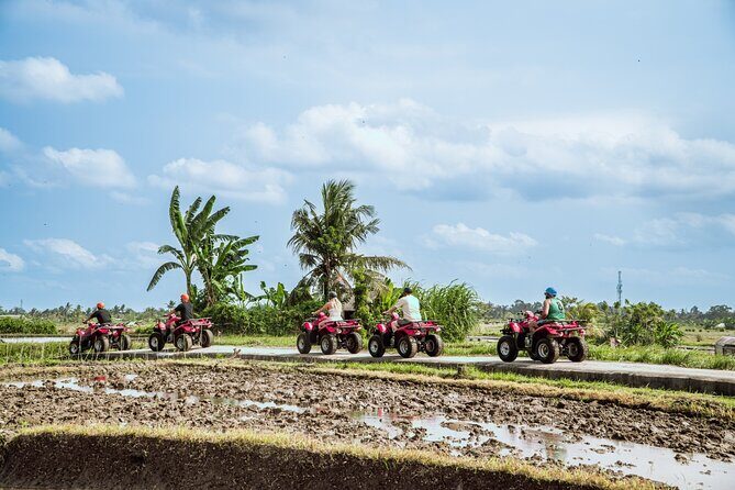 Ubud ATV Quad Bike with Infinity Pool Access All Inclusive - What You Can Expect on the Day