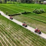 Ubud: ATV Quad Biking Adventure Guided Tour - The Value Proposition: What You’re Getting for Your Money