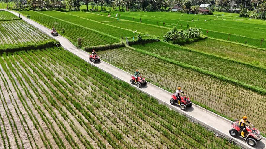 Ubud: ATV Quad Biking Adventure Guided Tour - The Value Proposition: What You’re Getting for Your Money