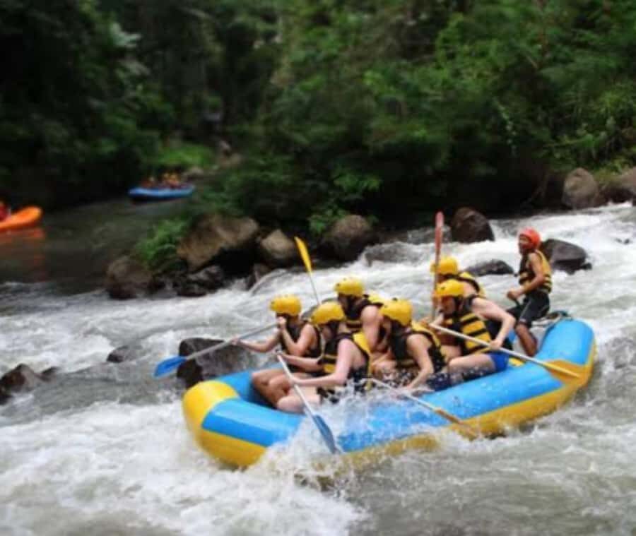 Ubud: Ayung River Rafting Adventure Lunch - Who Will Love This Tour?