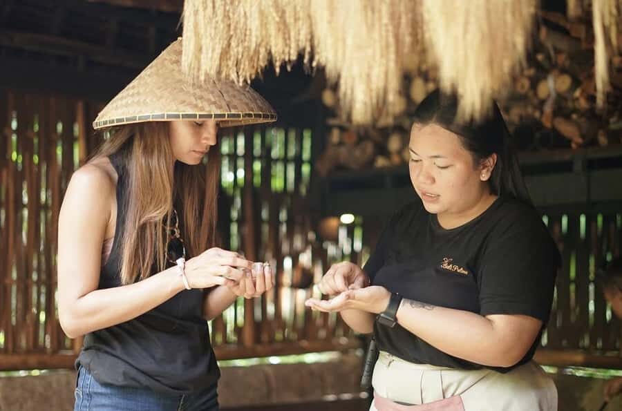 Ubud: Bali Pulina Tour with Swing & Tegallang Rice Terrace - Who Will Love This Tour?