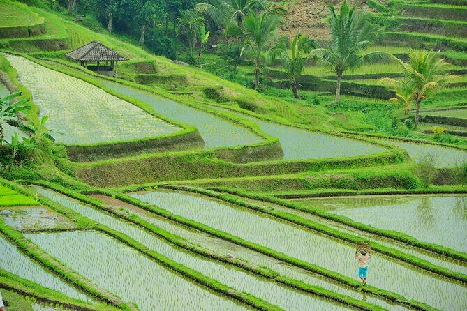 Ubud: Bali Swing, Tegalalang Rice Terrace & Ubud Palace & Market - The Sum Up
