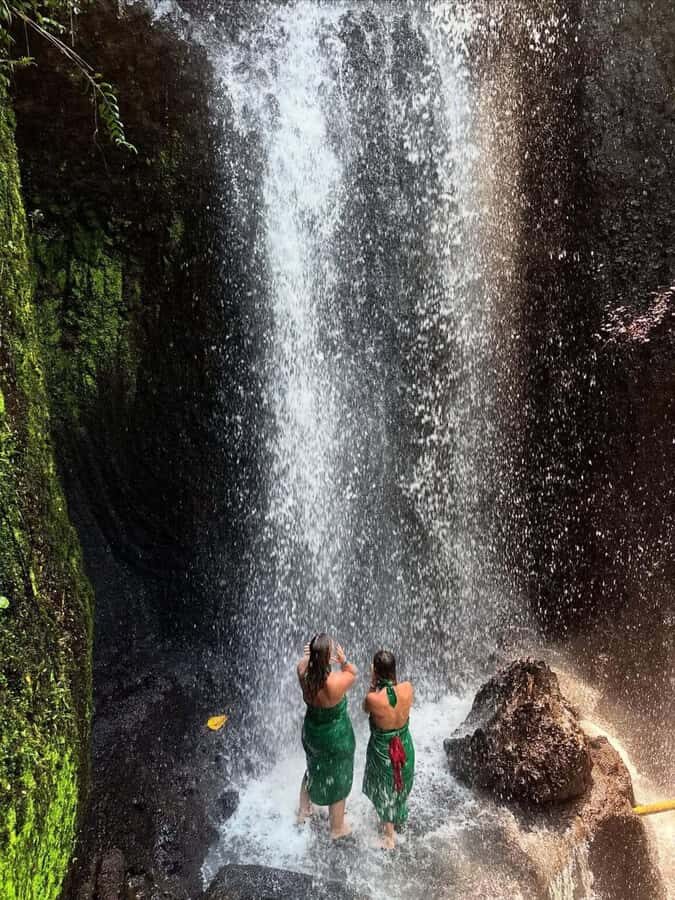 Ubud: Balinese Purification Ritual at Beji Griya Waterfall - Who Should Consider This Experience?