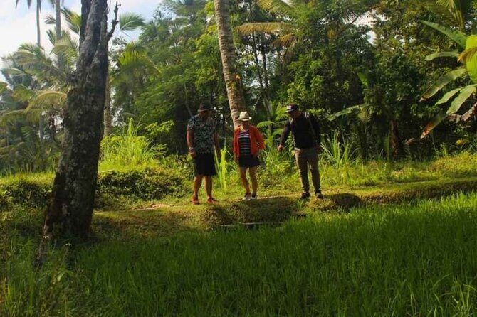 Ubud: Balinese Village Life, Organic Farm Dinner and Firefly Tour - A Magical Night in the Rice Fields