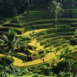 Ubud: Bali's 3 Epic Waterfall, Rice Terrace, and Temple Tour - The Sum Up: Who Should Consider This Tour?
