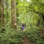 Ubud: Bayad Village, Waterfall and Cave Trek Adventure - Who Will Benefit Most from This Tour?