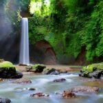 Ubud - Best Waterfall Tour & Bali Swing - The Cultural and Culinary Stops
