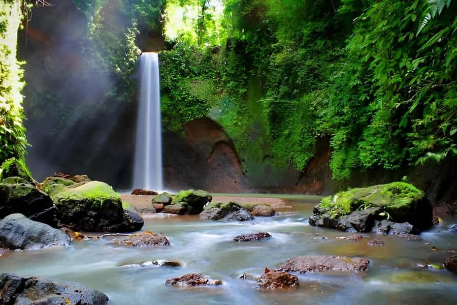 Ubud - Best Waterfall Tour & Bali Swing - The Cultural and Culinary Stops