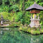 Ubud Car Hire With Driver : Customize Your Trip in Ubud Area - Authenticity and Cultural Insights