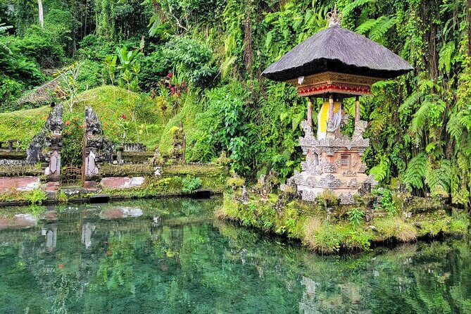 Ubud Car Hire With Driver : Customize Your Trip in Ubud Area - Authenticity and Cultural Insights