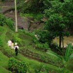Ubud: Cooking Class & Herb Garden Tour with Local Chef - What Reviewers Say