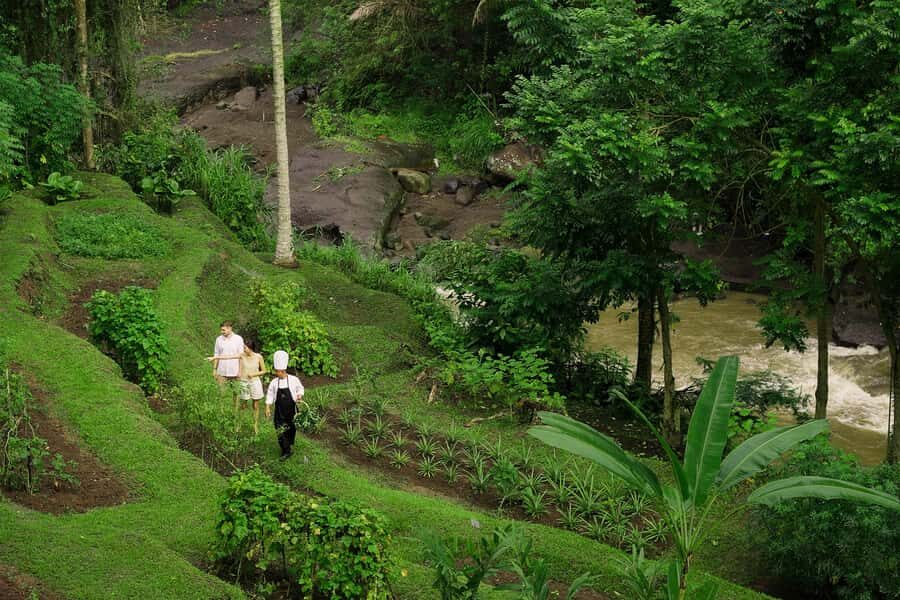 Ubud: Cooking Class & Herb Garden Tour with Local Chef - What Reviewers Say
