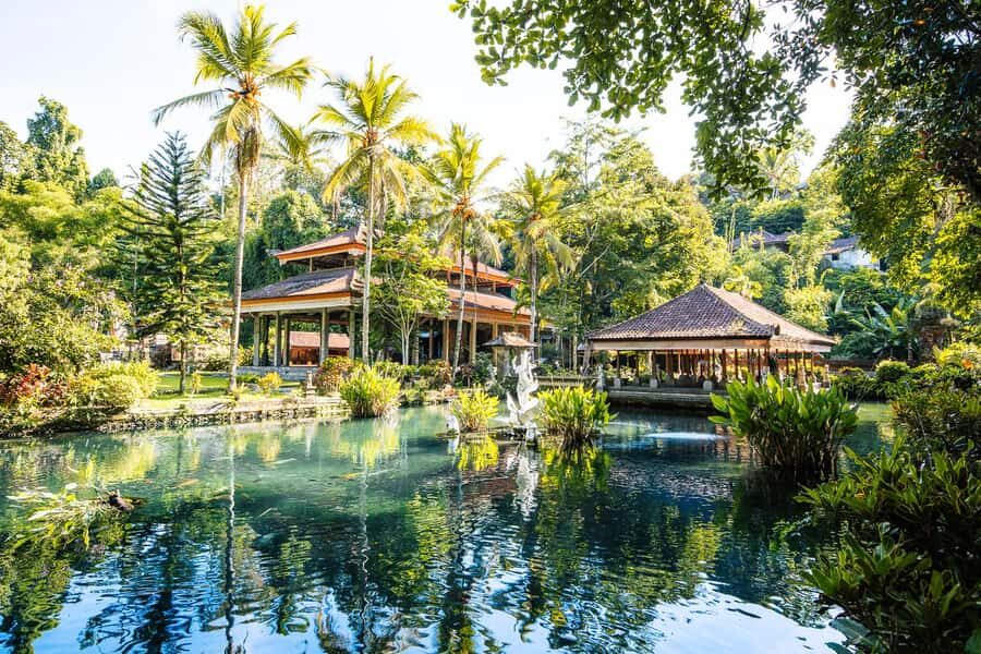 Ubud: Cretya Infinity Pool, Hidden Waterfall & Water Temple - Key Points