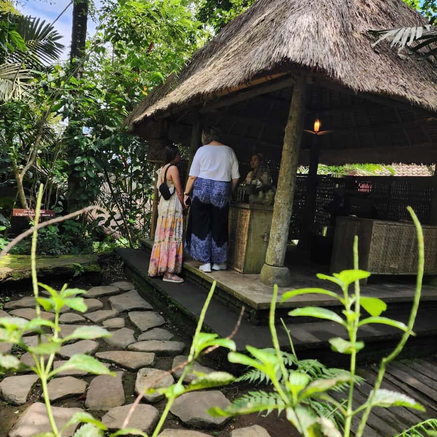 Ubud: Culture and sightseeing tour with Friendly local Guide - What Makes This Tour Special?