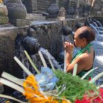 Ubud Culture, Temple Blessing & Hidden Waterfall Day Tour - Who Will Love This Tour?