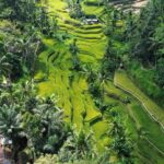 Ubud: Customised private day trip with personal driver - Who Should Consider This Tour?