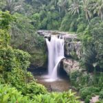 Ubud Customized Tour All-Inclusive - The Practicalities: What to Expect