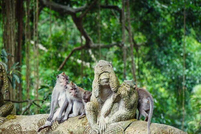 Ubud Day Tour: Sacred Monkey Forest, Rice Terraces and Waterfall - Authentic Experiences and What Travelers Say