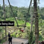 Ubud Day Trip Private Car Charter for a Full Bali Experience - What to Expect on the Day