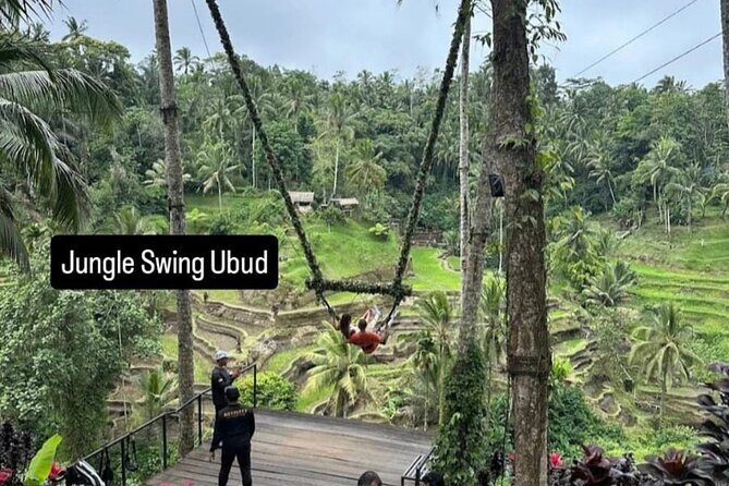 Ubud Day Trip Private Car Charter for a Full Bali Experience - What to Expect on the Day