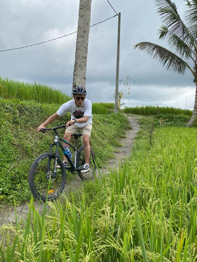 Ubud: Downhill Bike Tour with Rice Fields, Volcano and Meal - Why This Tour Offers Great Value