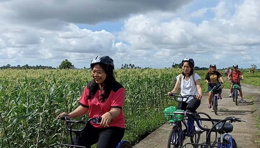 Ubud e-Bike Tour & Whitewater Rafting - The Itinerary Breakdown