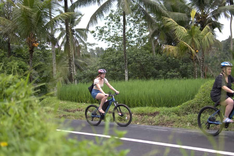 Ubud: E-Bike Tour with Rice Terrace and Village Visit - The Route and Highlights