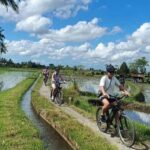 Ubud: E-Bikes Tour & Swing Bali - Itinerary Breakdown: What to Expect