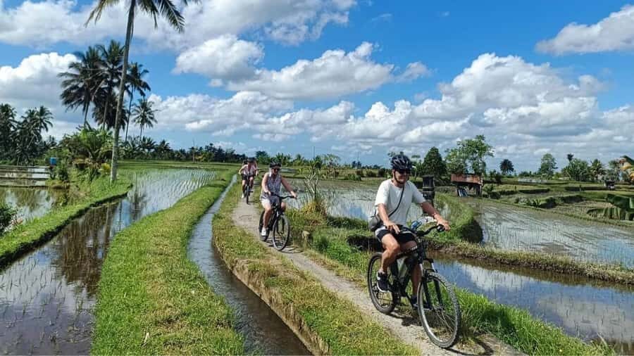 Ubud: E-Bikes Tour & Swing Bali - Itinerary Breakdown: What to Expect