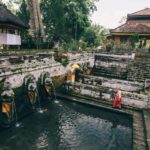 Ubud: Elephant Cave & Pakerisan UNESCO Guided Tour - Practical Details: What to Know Before You Go