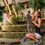 Ubud Essentials: Temples, Rice Terraces & Jungle Waterfalls - The Experience in Practice: What Travelers Say