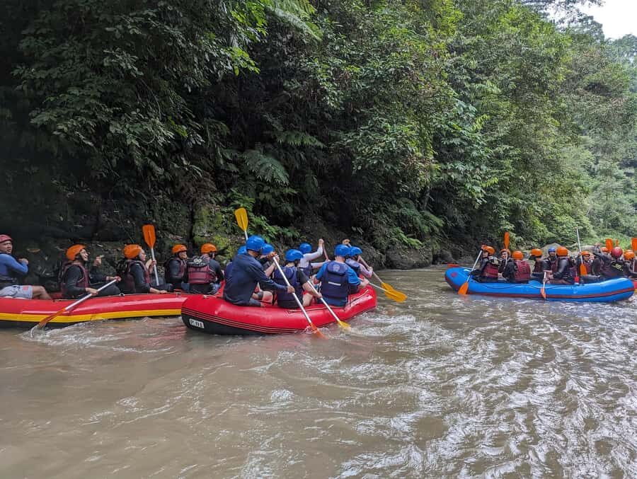 Ubud: Family-Friendly Ayung River Rafting Experience - What Travelers Say