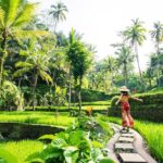 Ubud Full Day ATV Adventure with Rice Terrace and Temple Ritual - Who Will Love This Tour