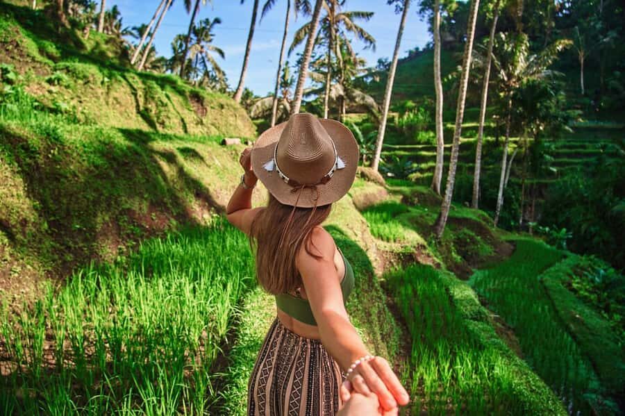 Ubud: Full-Day Highlights Tour with Female Driver Guide - Why This Tour Works for Travelers