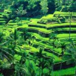 Ubud Full Day Tour: Private and Customizable - What’s Included & What’s Not