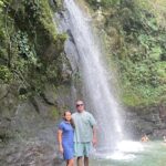 Ubud Gallery Experience: Culture, Waterfall & Rice Terrace - The Morning: Rice Terraces and Jungle Waterfall