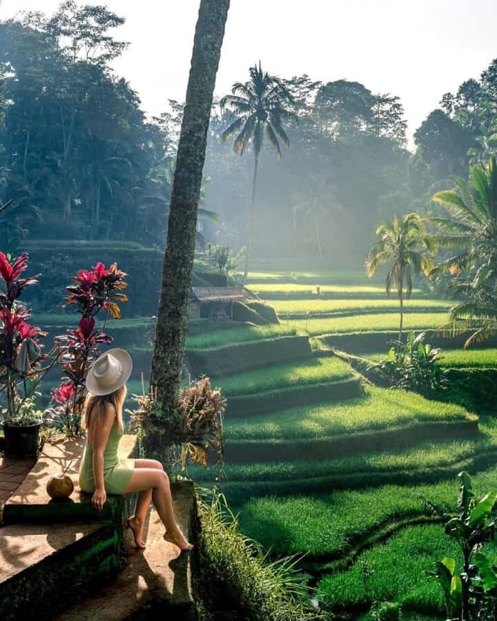 Ubud: Goa Garba, Waterfalls, and Rice Terrace Private Tour - Practical Details and What to Expect