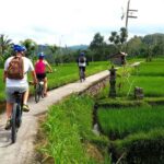 Ubud: Half-Day Tegallalang Electric Cycling Tour - The Itinerary Breakdown