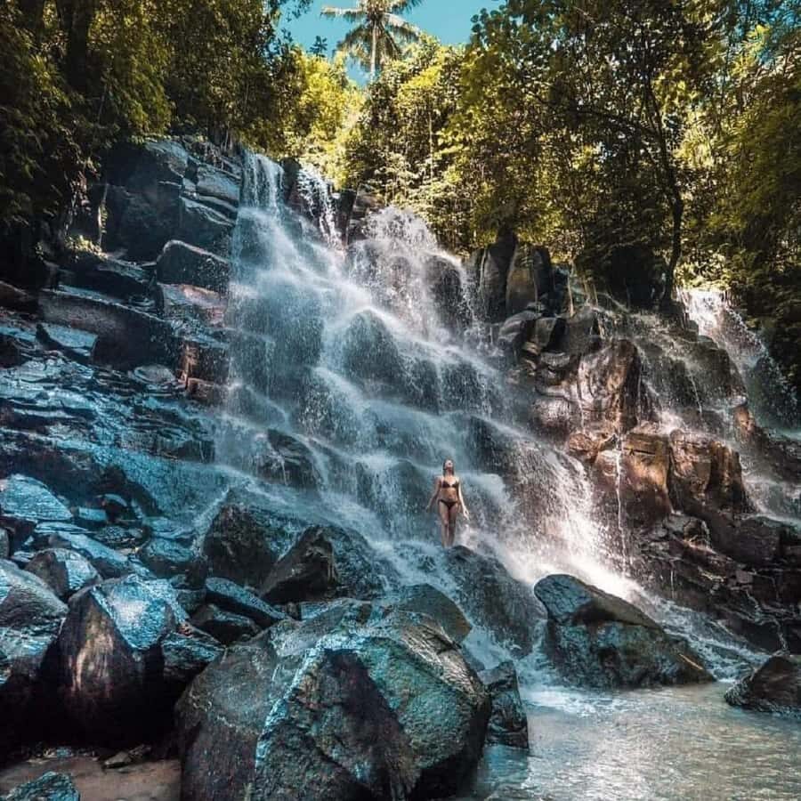 Ubud Half Day Waterfall Tour & Temple - A Deep Dive into the Ubud Half Day Waterfall & Temple Experience