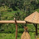 Ubud Half Day Zipline and Jungle Swing - Final Thoughts