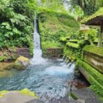Ubud Healing Journey Experience - All Inclusive - What You Can Expect from the Tour