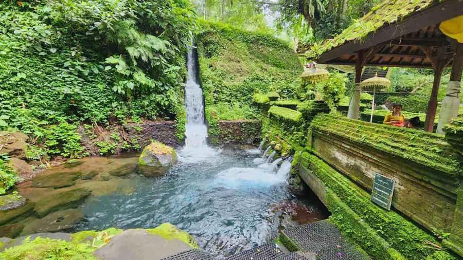 Ubud Healing Journey Experience - All Inclusive - What You Can Expect from the Tour