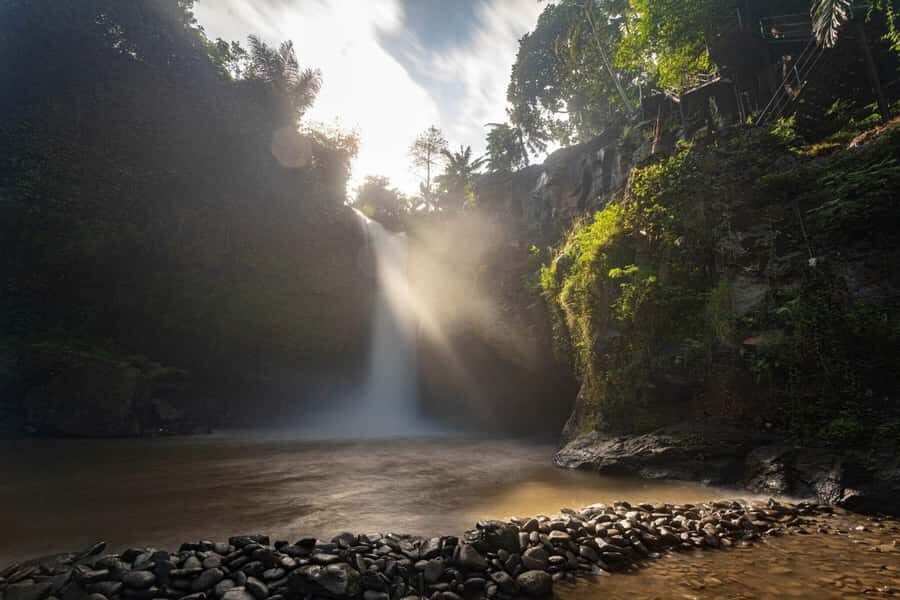 Ubud Hidden Gems: Waterfall Tour - Exploring the Waterfalls of Bali: What’s Included