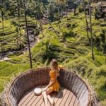 Ubud Highlight Private Tour with Transfer - Who Will Love This Tour?