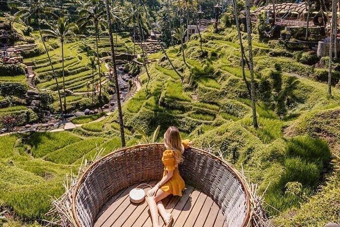 Ubud Highlight Private Tour with Transfer - Who Will Love This Tour?