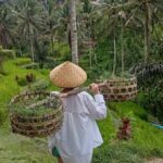 Ubud Highlights: The Ultimate Balinese Experience - Who Will Love This Tour?