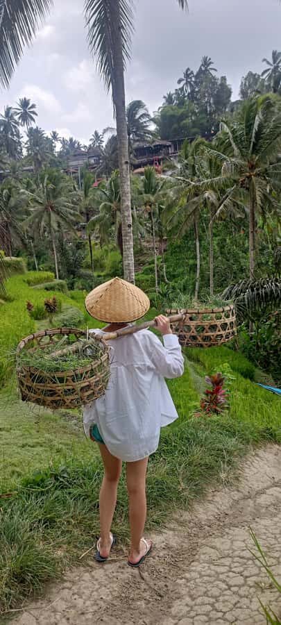 Ubud Highlights: The Ultimate Balinese Experience - Who Will Love This Tour?