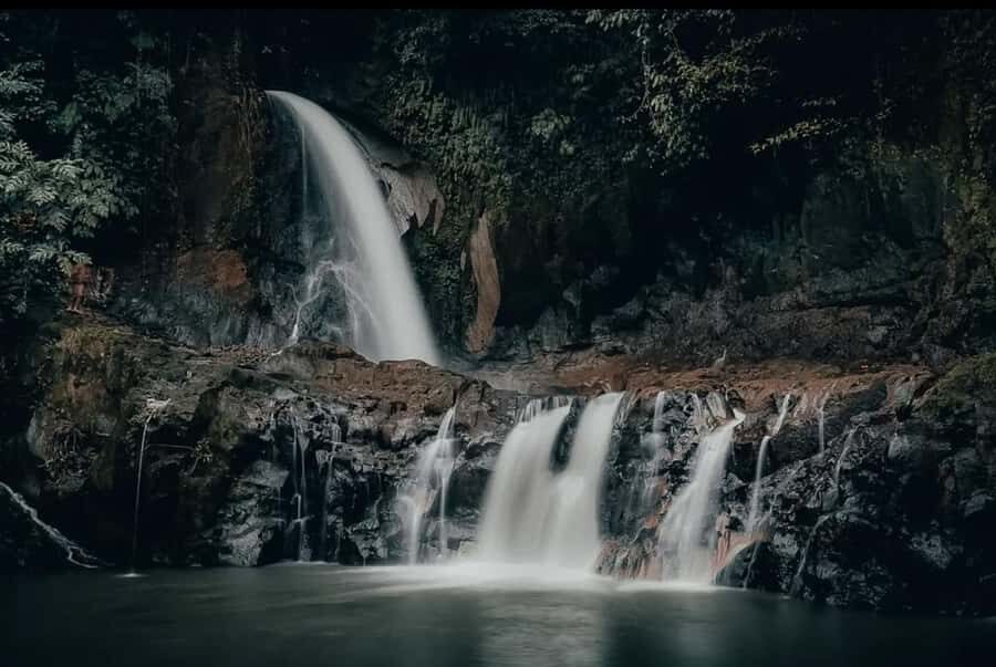 Ubud Highlights Tours Customized With Private Driver & Guide - Itineraries and Customization