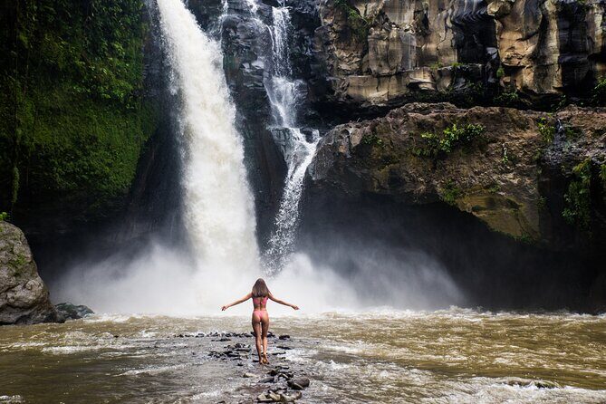 Ubud Iconic Full Day Tour Monkey Forest Rice Terraces Waterfalls - Who Will Love This Tour?