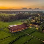 Ubud: Kecak Dance and Royal Balinese Dinner - Who Would Love This Tour?